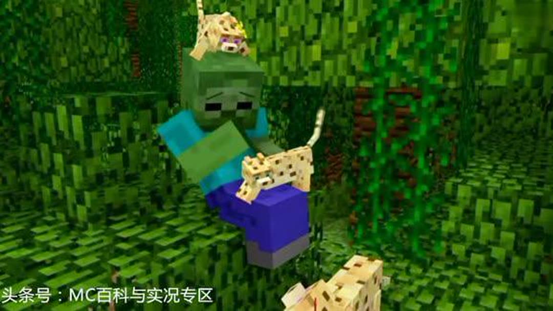 我的世界动画 豹猫的故事(感人)