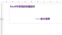 Excel中常用快捷操作