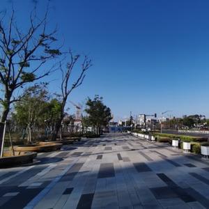 上海媒体官 