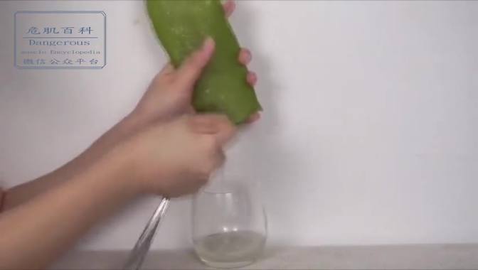 教你如何用芦荟胶护肤