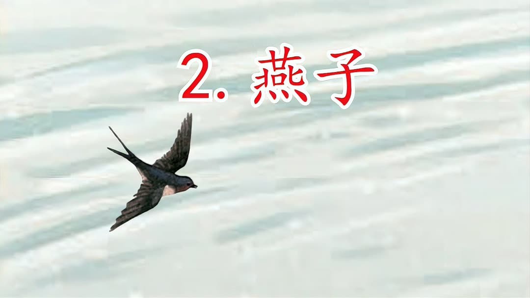 《燕子》课文朗读小学语文2023年教材三年级下册第二课