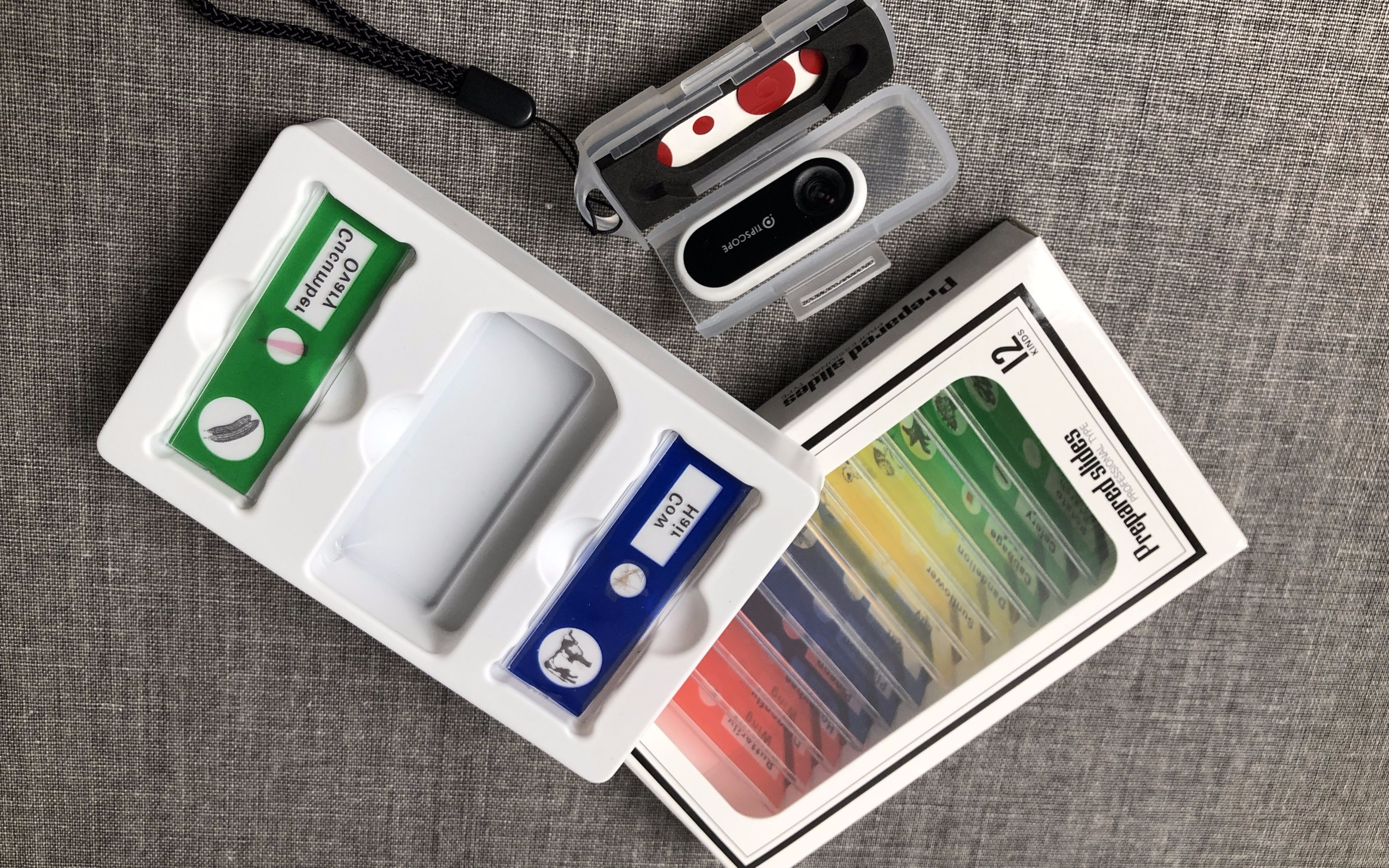 网上超火的“手机显微镜”,据说能看到细菌!猜我发现了啥?