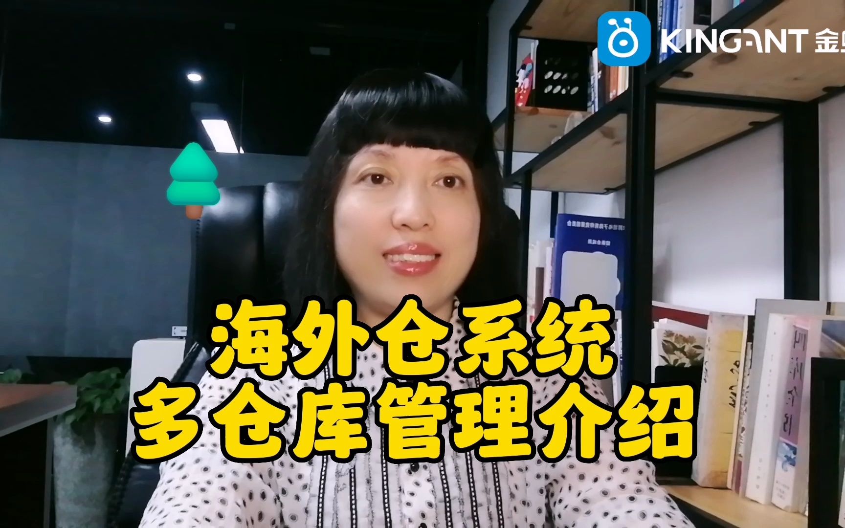 海外仓系统多仓库管理介绍-金蚁