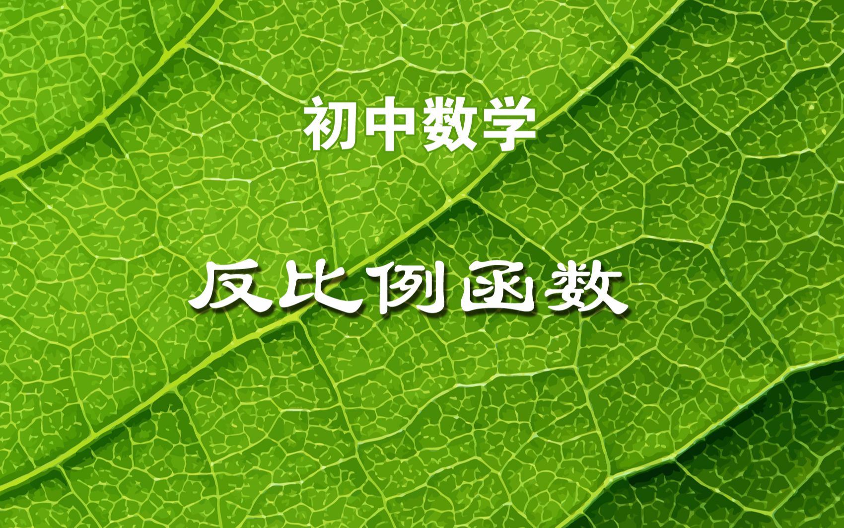 青教版初中数学初三5.2《反比例函数》2