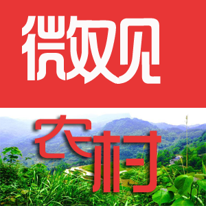 暴走夫妻V 