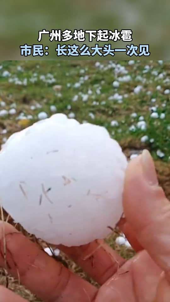 广州多地下起冰雹 市民:长这么大头一次见