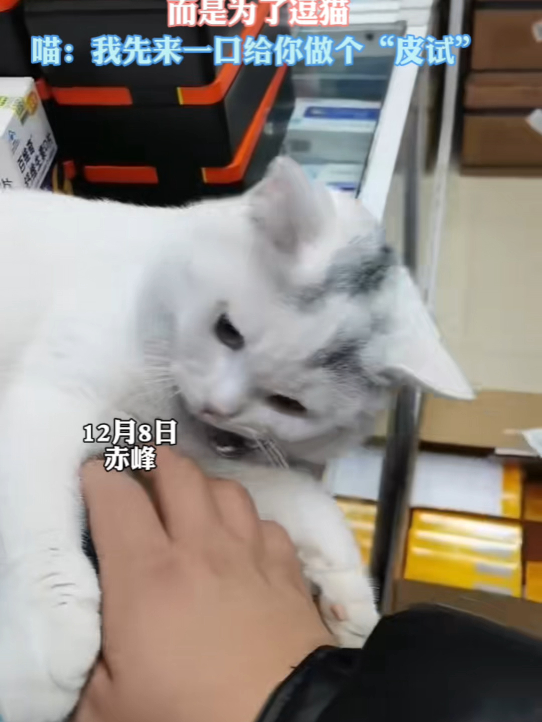 我先来一口给你做个"皮试