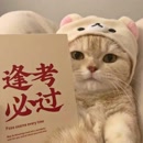 A嘉兴上元会计小吴老师 