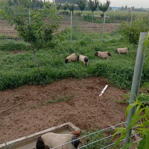 天地人和生态农场 