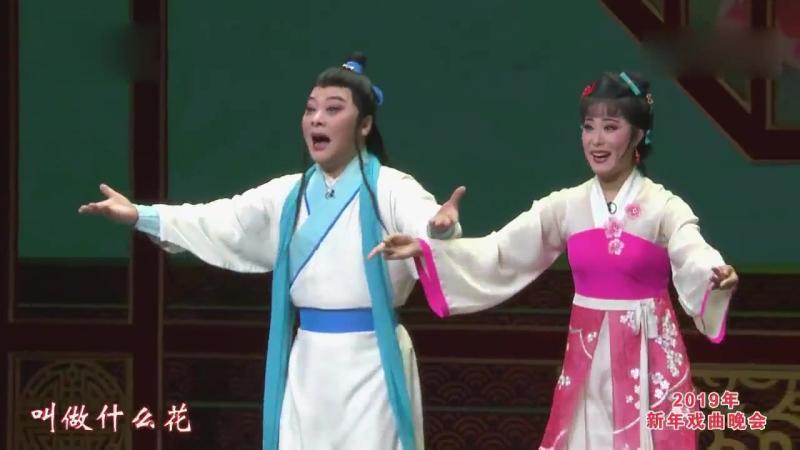 2019戏曲晚会,张辉 吴美莲表演黄梅戏《打猪草》选段