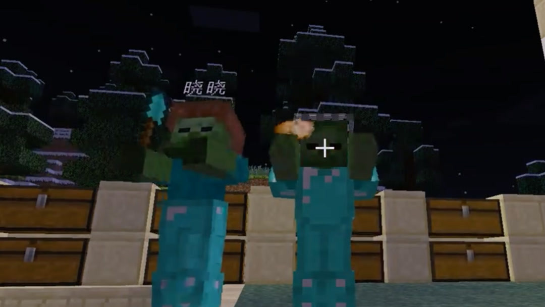 【大白团队】MC我的世界我是一只小僵尸僵尸兄弟十四