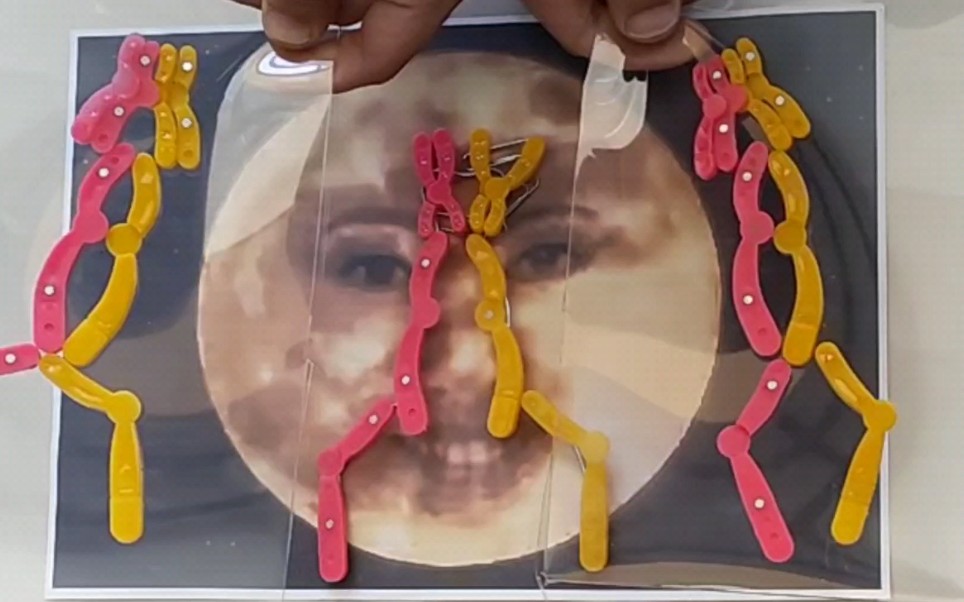 极度阴间!生物课上用染色体表演武器A!