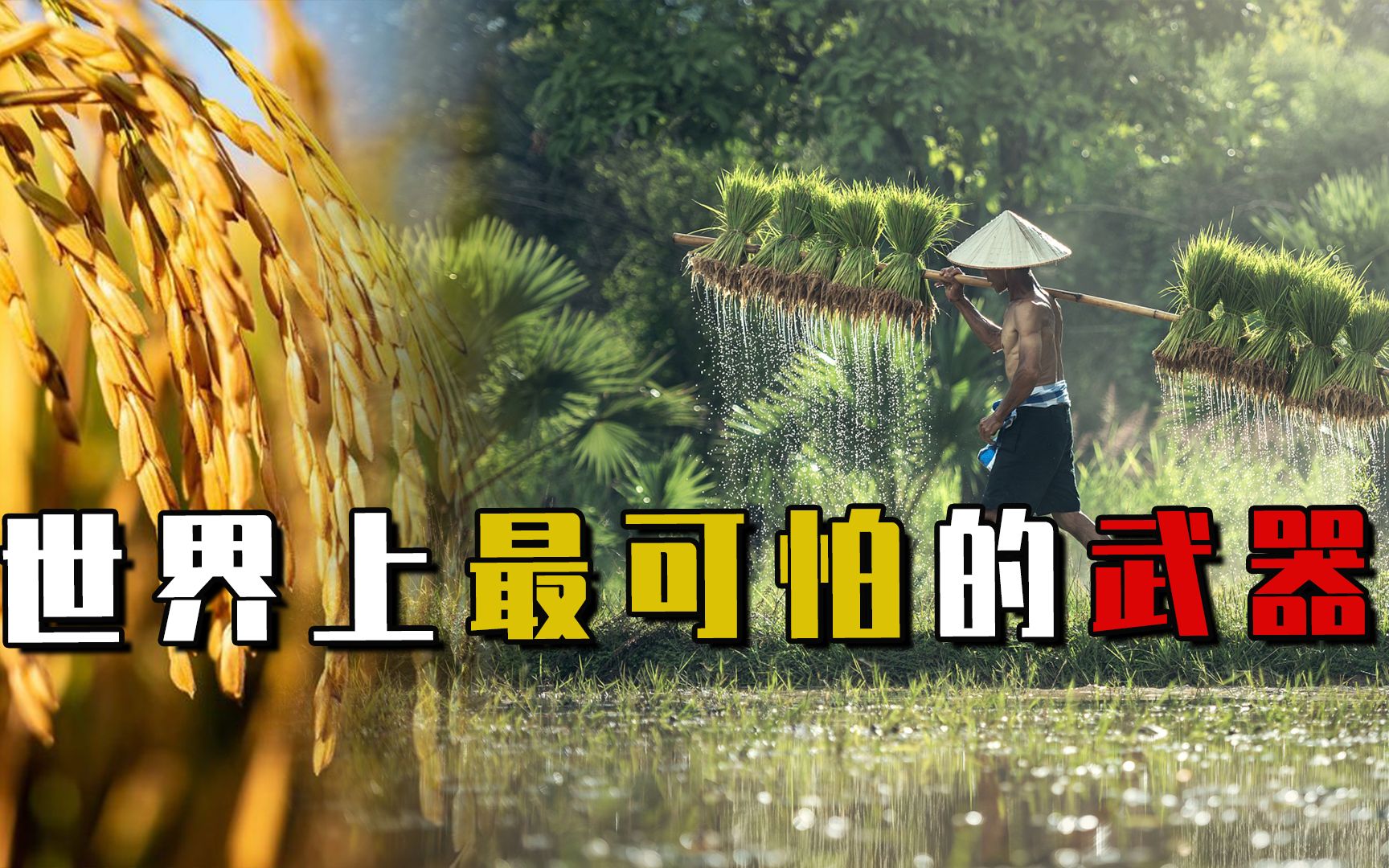 世界上最可怕的武器,就在你身边,一旦使用对方将毫无还手之力?