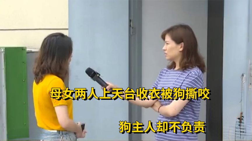 母亲天台收衣被狗撕咬,狗主人却不愿承担责任