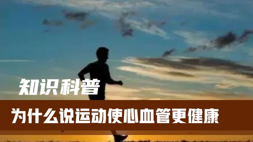 为什么说运动使血管更健康