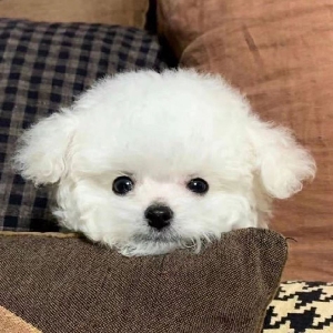 薛某人游戏日常 