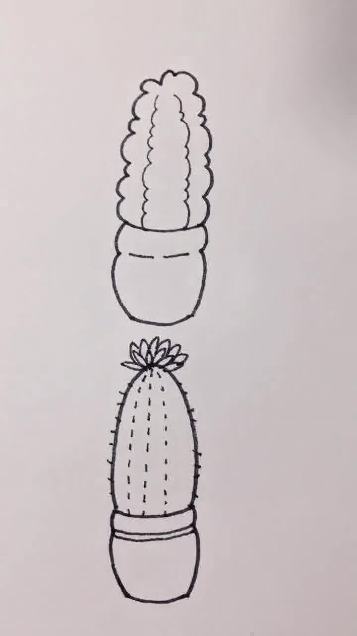 来学习一下画绿植简笔画