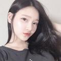 河南张扬机械设备有限 