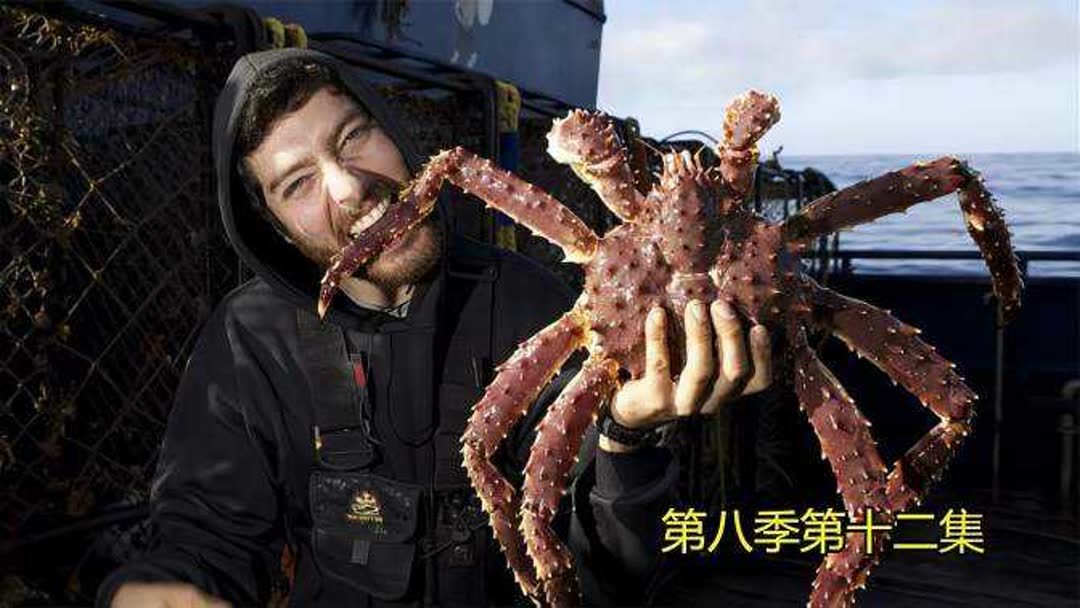 最危险职业之一,为何工作时,不戴安全帽和安全绳