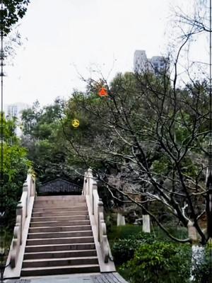 ...玩具,竹蜻蜓飞盘,陀螺转地多种玩法