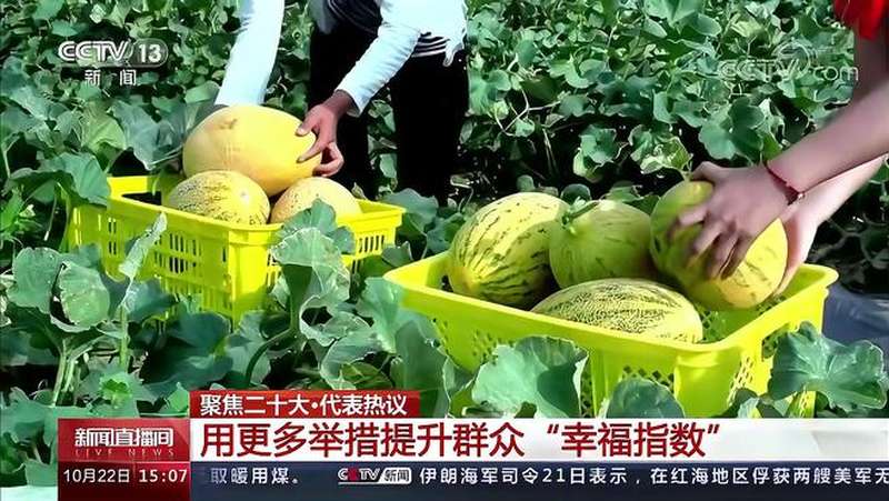 ...代表热议如何提升群众幸福指数 党的二十大报告提出,要实现好、维护...