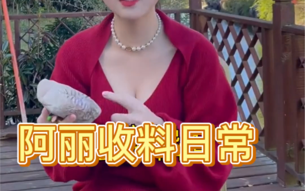 木那杨梅皮,冰春胶质感很足