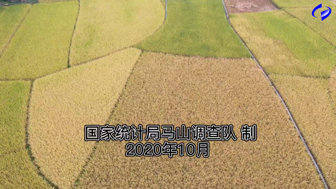 国家统计局马山调查队视频