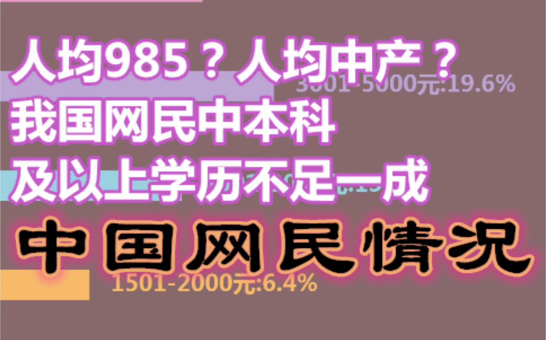 ...以上学历不足一成!网络暴力何时能停止!中国网民情况【数据可视化】