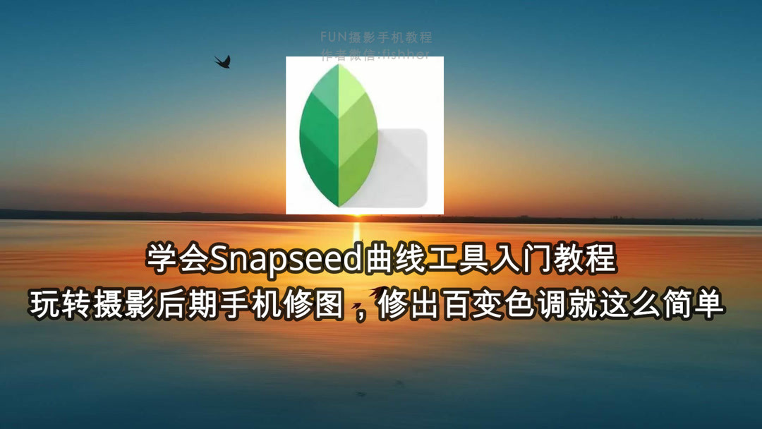 Snapseed曲线工具实例演示教程,玩转摄影后期轻松出大片