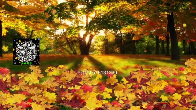 44.琴键互动视频秀 音乐会互动秀视频 人屏互动led视频制作我要视频网