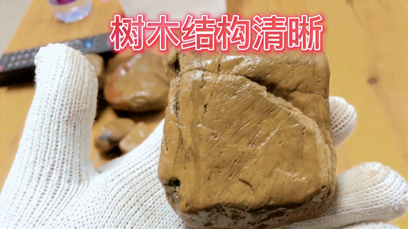 竖向断裂的树化玉,木质结构清晰