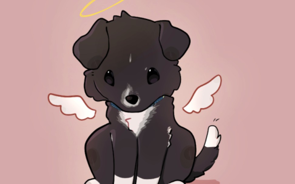 这是一个纪念向的视频,为了给我自己以后留个念想。