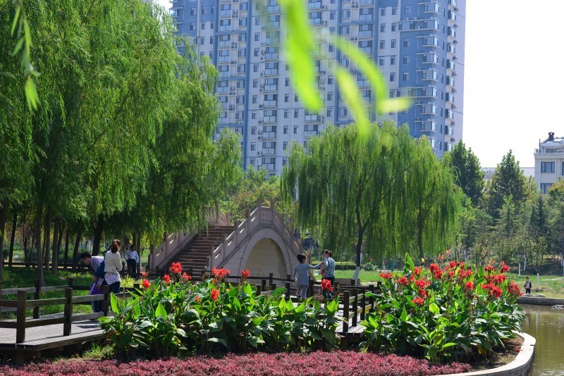 沁白文苑 