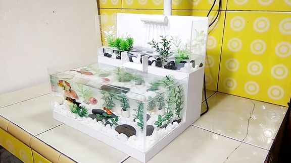 废旧PVC管暴改成精致鱼缸,还附带喷淋,老外这动手能力可真强!