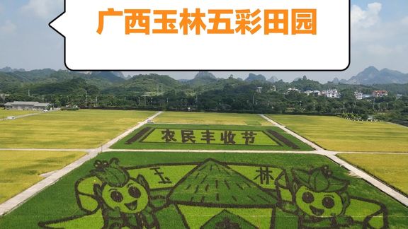 广西玉林五彩田园的稻田画太惊艳#玉林头条#