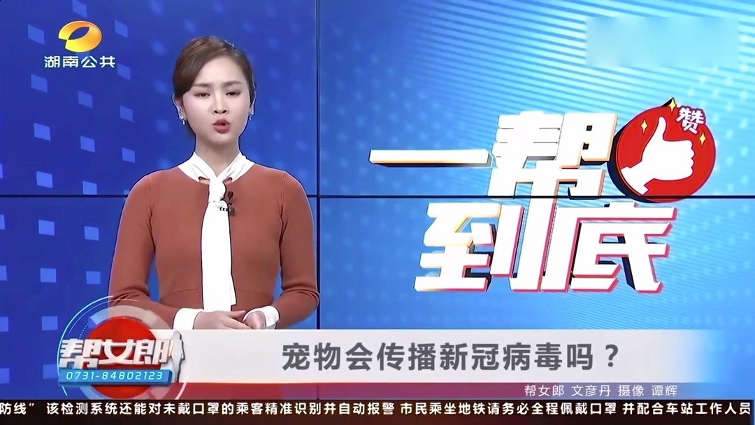 宠物会传播新冠病毒吗?宠物医院专家来解答:不需要过分忧虑