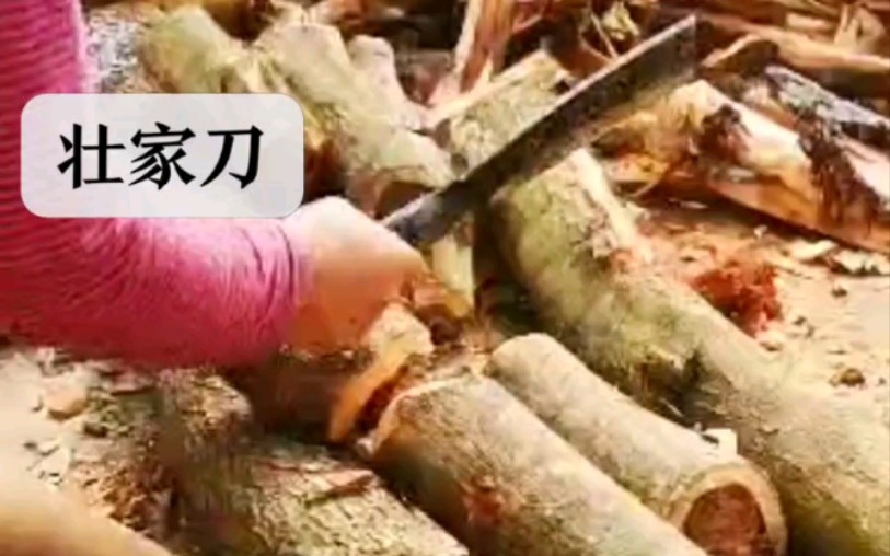 手工锻打11层不锈钢夹碳钢柴刀,继续测试,此刀前面已砍6条木,砍完还...