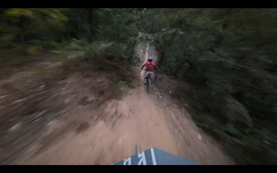 还在过夏天的csc当然要出去骑车了