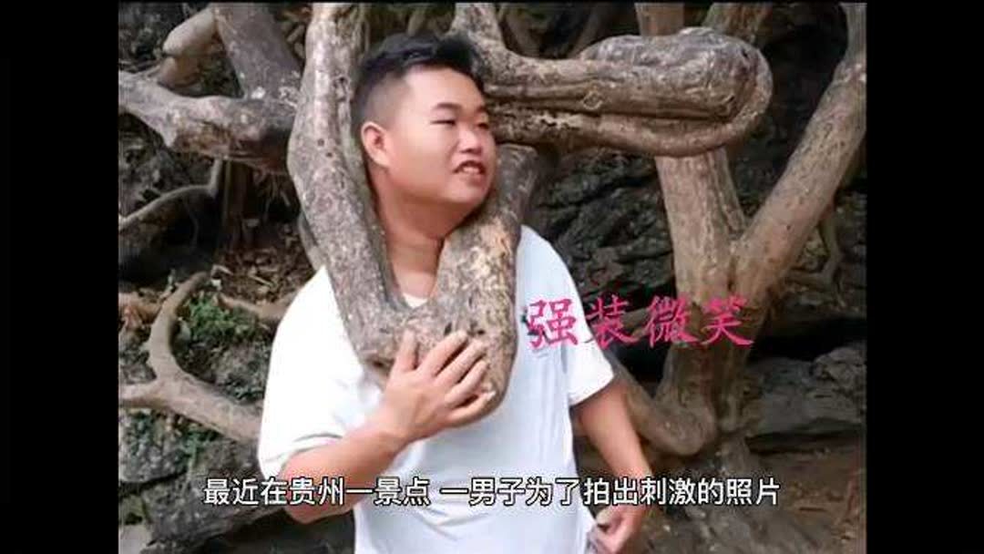 男子景点拍照将头伸进树杈里,不料被卡脖子。属实尴尬