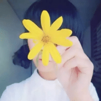 张柳红说娱乐 