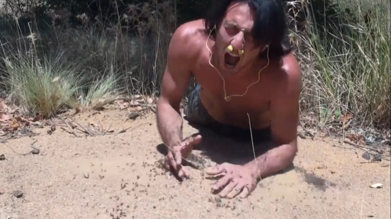 男子不慎被蚂蚁"咬了一口",居然挂掉了,这是什么蚂蚁?