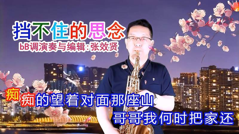 萨克斯演奏的《挡不住的思念》深情好听