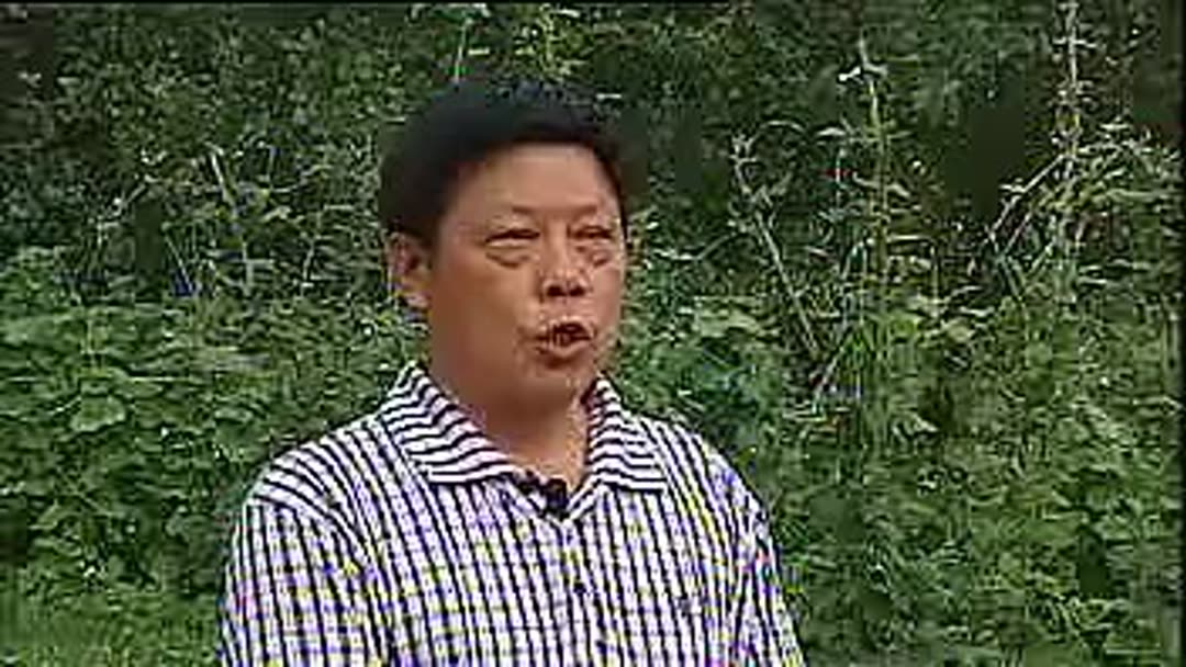 ...实用技术——①东北花生高产栽培技术②桃设施栽培技术③夏季蔬菜...