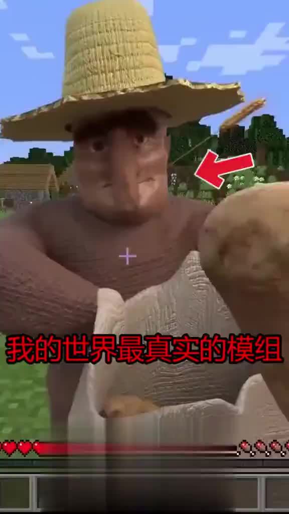 我的世界之搞笑:这就是MC最真实的模组,你见过吗!