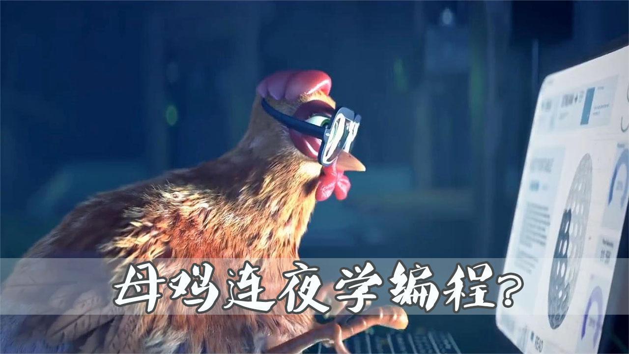下不出蛋就要被宰杀,母鸡为了保命,通宵学习电脑编程,脑洞动画