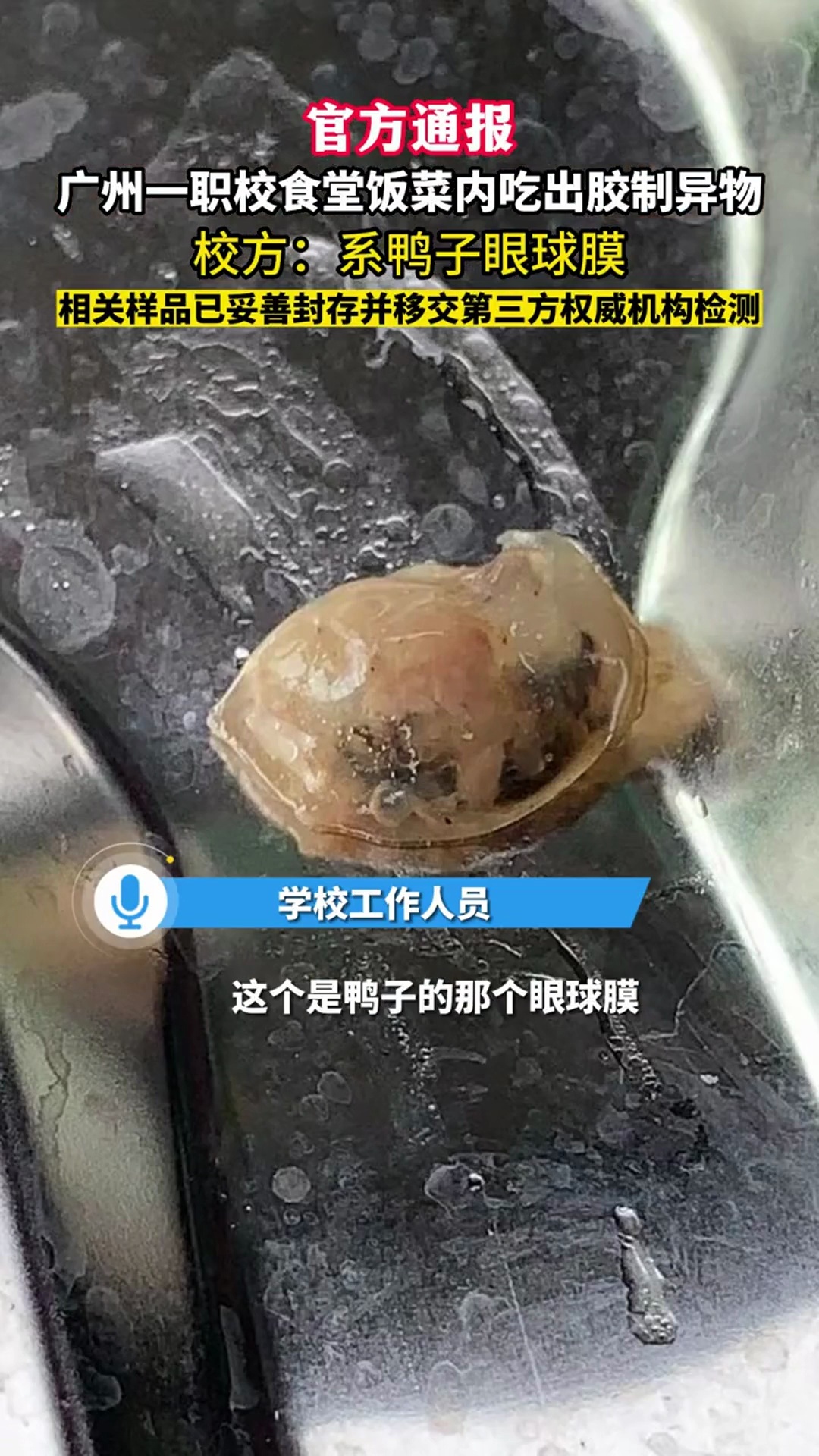...食堂饭菜内吃出胶制异物:相关样品已妥善封存并移交第三方权威机构...