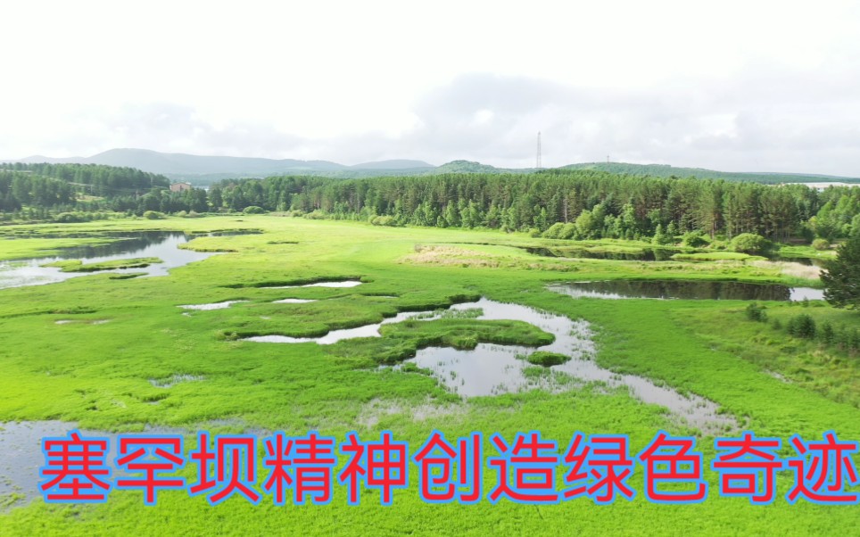 塞罕坝精神创造绿色奇迹,吃水不忘挖井人
