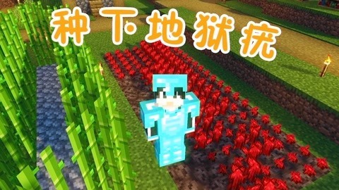 我的世界村庄版16 种植地狱疣啦