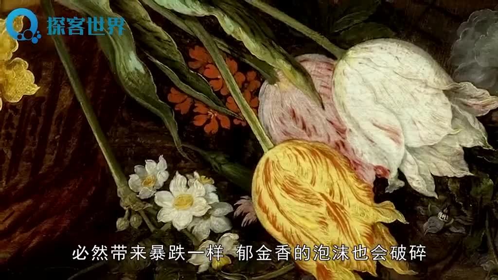 最早的经济泡沫,一朵小花差点毁了一个国家?曾比金子还值钱!