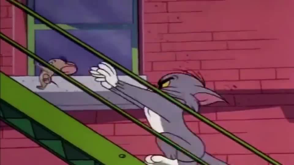 猫和老鼠汤姆大街上追逐老鼠,竟还要等红绿灯,太秀了